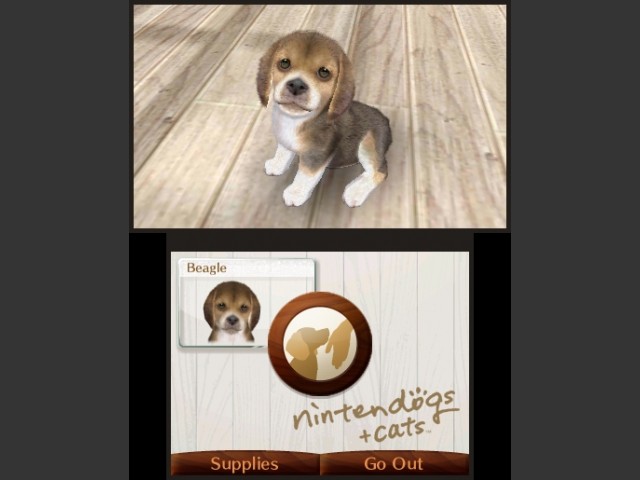 Nintendogs + Cats News, Guides, Walkthrough, Screenshots, and Reviews ...