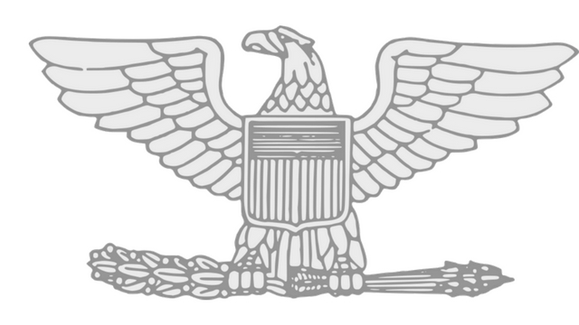 Call of Duty WW2 Rank List and Prestige Icons: What Are the Levels ...