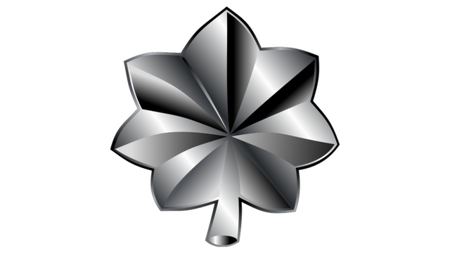 Call of Duty WW2 Rank List and Prestige Icons: What Are the Levels ...