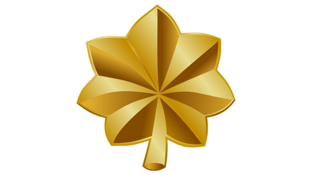 Call of Duty WW2 Rank List and Prestige Icons: What Are the Levels ...