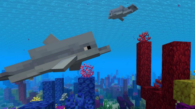 What do Dolphins Eat in Minecraft: How to Feed Dolphins - GameRevolution