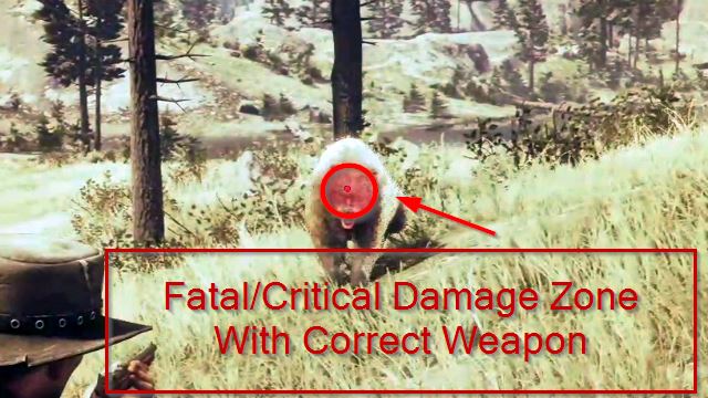 Red Dead Redemption 2 Get Perfect Pelts - What Weapon to Use on Each ...