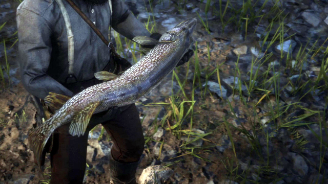 Red Dead Redemption 2 Fishing Guide - How to Fish, Best Bait and Lures ...