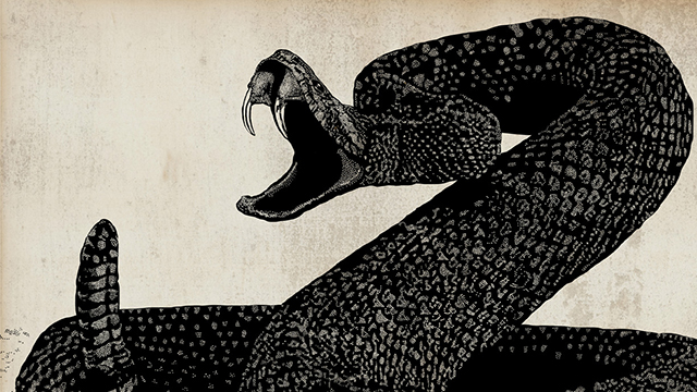 Where to Find Snakes in Red Dead Redemption 2 - GameRevolution