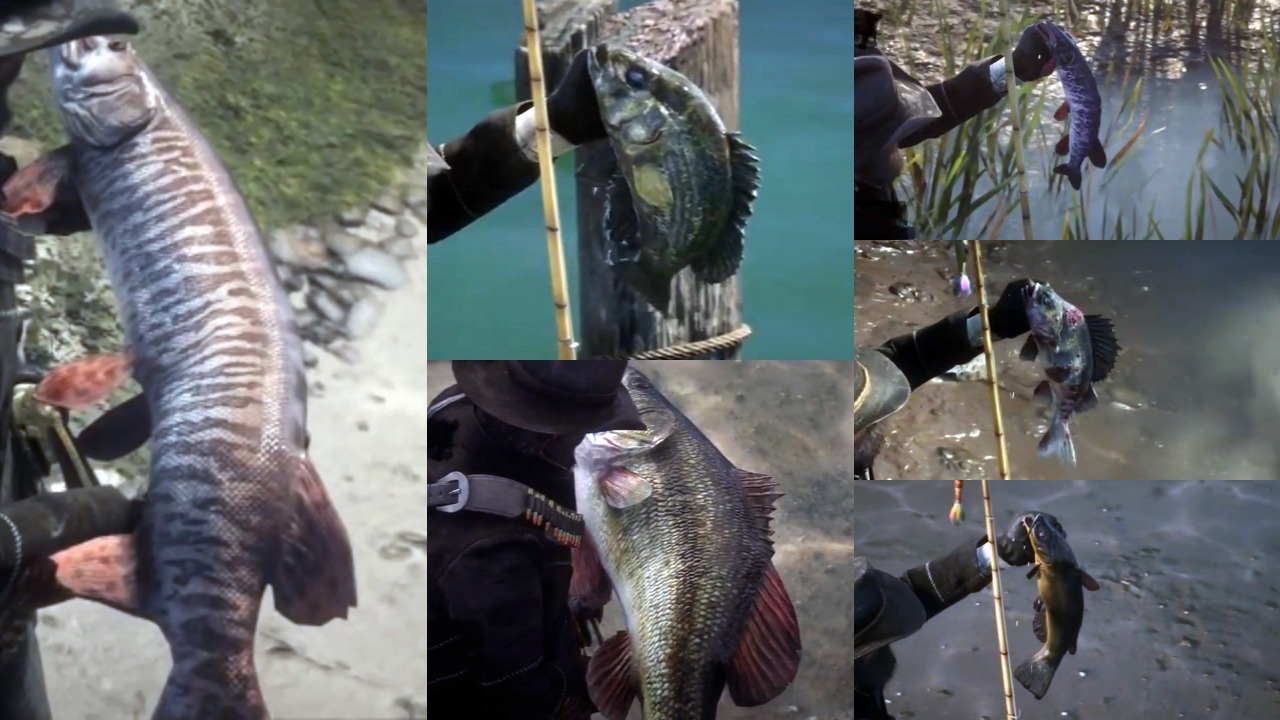 Red Dead Redemption 2 Legendary Fish Locations - What Lures to Use ...