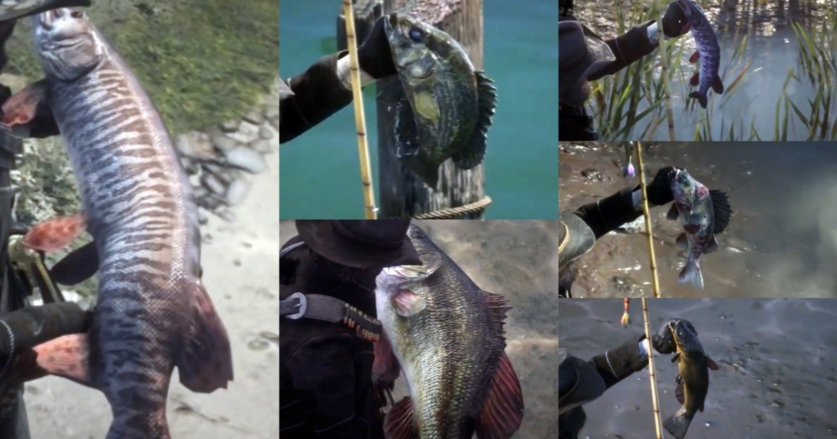 Red Dead Redemption 2 Legendary Fish Locations - What Lures to Use ...