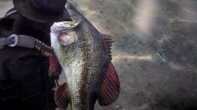 Red Dead Redemption 2 Legendary Fish Locations - What Lures to Use ...