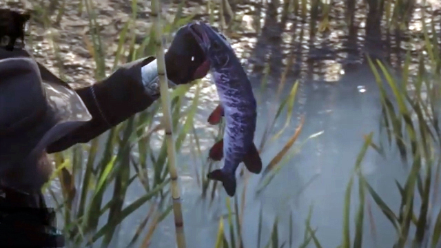 Red Dead Redemption 2 Legendary Fish Locations - What Lures to Use ...