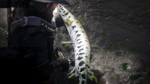 Red Dead Redemption 2 Legendary Fish Locations - What Lures to Use ...