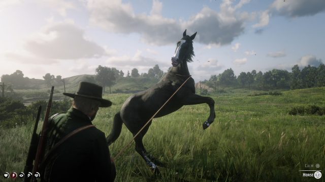 Red Dead Online Lasso Glitch - Is There a Fix? - GameRevolution