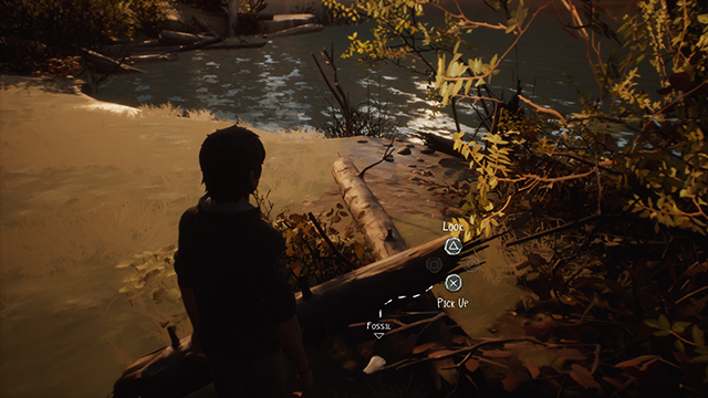 Life Is Strange 2 Collectibles Guide | Episode 1, 2, and 3 - GameRevolution