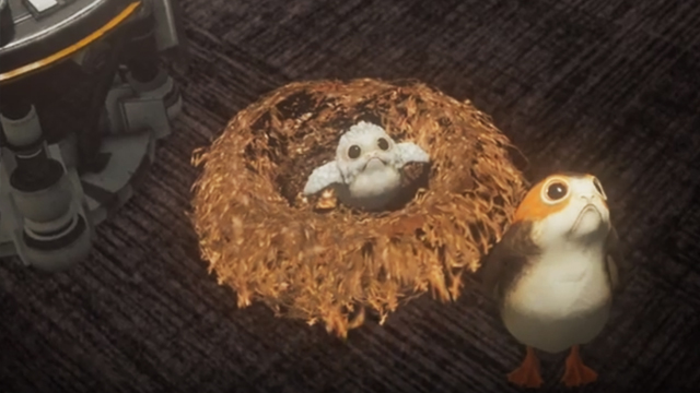 Star Wars: Project Porg lets you raise a family of porgs - GameRevolution
