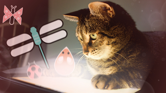 GDC 2019 | How cats can help improve game design - GameRevolution