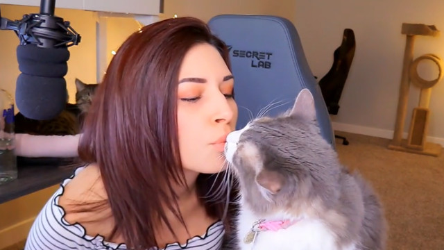 Twitch streamer Alinity caught throwing her cat during livestream ...