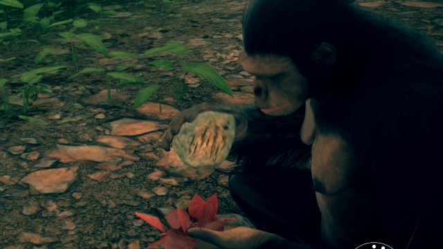 Ancestors: The Humankind Odyssey Tool List and Uses - GameRevolution