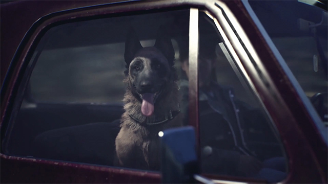 How the Blair Witch game can both have a cute dog and stay true to the ...