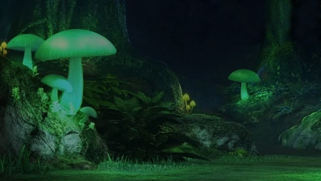 Pokemon Sword and Shield stream will show 24 hours of the Luminous Maze ...
