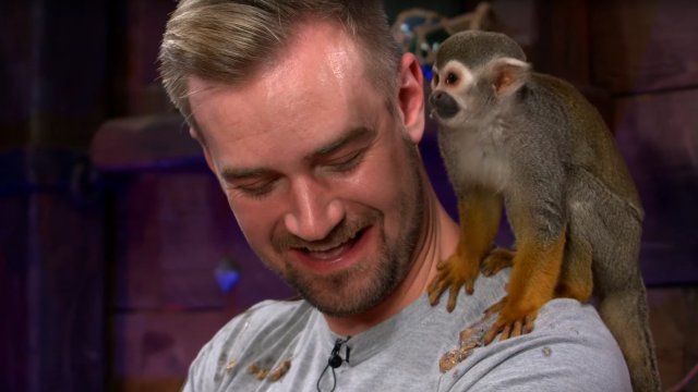 Monkey vomits on Rare dev during Sea of Thieves pet preview livestream ...