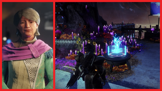 Where is the Haunted Forest in Destiny 2? | Festival of the Lost ...