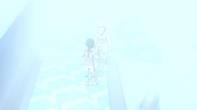 Pokemon Sword and Shield Ice Gym Mission | Correct path for puzzle ...