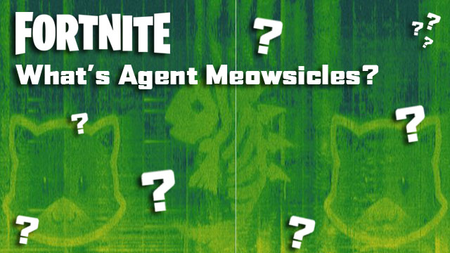 Fortnite Agent Meowsicles | Is there a cat event coming? - GameRevolution