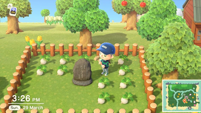 Animal Crossing: New Horizons Turnip Storage | How to store turnips ...