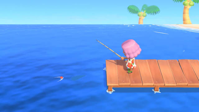 How to catch the Animal Crossing: New Horizons Zebra Turkeyfish ...
