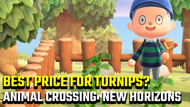 What is the best price for turnips in Animal Crossing: New Horizons ...