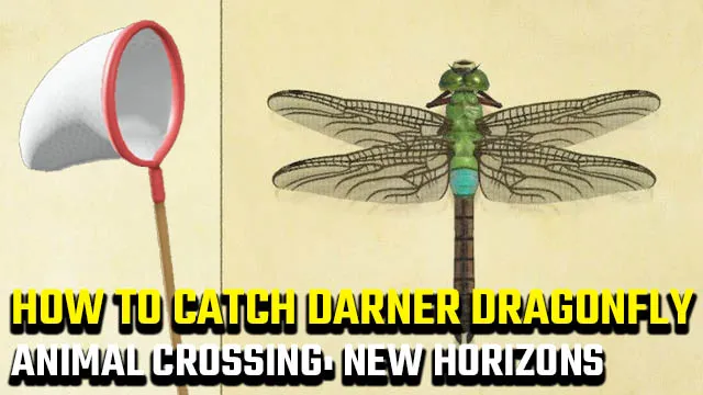 How to catch a Darner Dragonfly in Animal Crossing: New Horizons ...