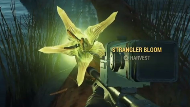 Where to find Strangler Blooms in Fallout 76 - GameRevolution