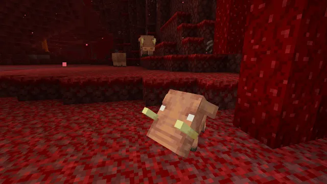 How to tame a Hoglin in Minecraft - GameRevolution