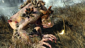 Fallout 76 Angler Locations | Where to find Anglers - GameRevolution