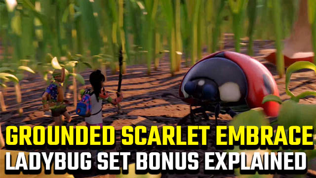 Grounded Scarlet Embrace | What does the Ladybug set bonus do ...