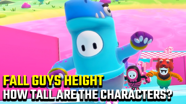 Fall Guys Height | How tall are the characters? - GameRevolution