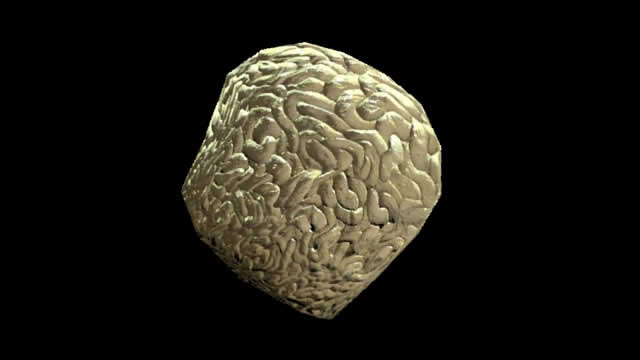 Fallout 76 | Where to find Brain Fungus locations - GameRevolution