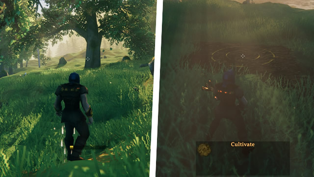 Valheim | How to plant trees - GameRevolution