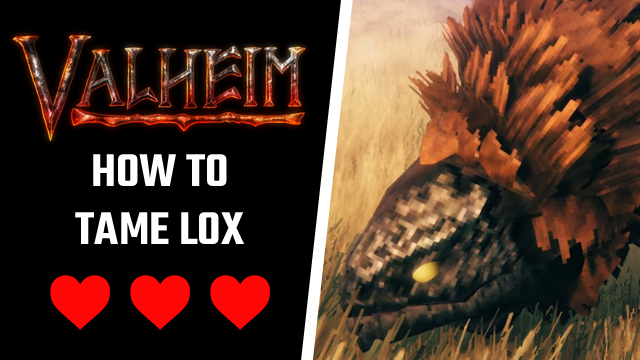 Valheim | How to tame lox - GameRevolution