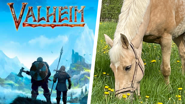 Valheim horse revealed in new developer update - GameRevolution