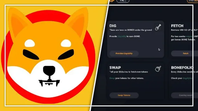 Shiba Swap Launch Date: When is the new portal releasing? - GameRevolution