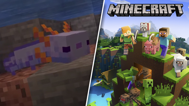 What is the command to spawn blue axolotl in Minecraft? (2021 ...