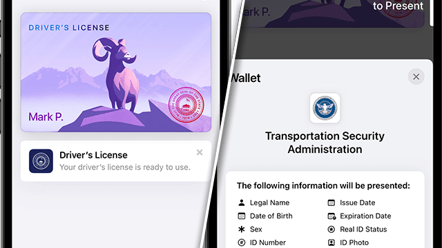 Which states will let you use Apple Wallet for a digital driver's ...