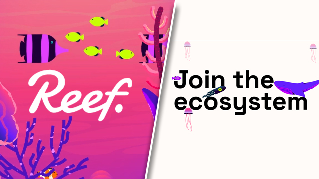 Reef crypto token price, where to buy, and symbol - GameRevolution
