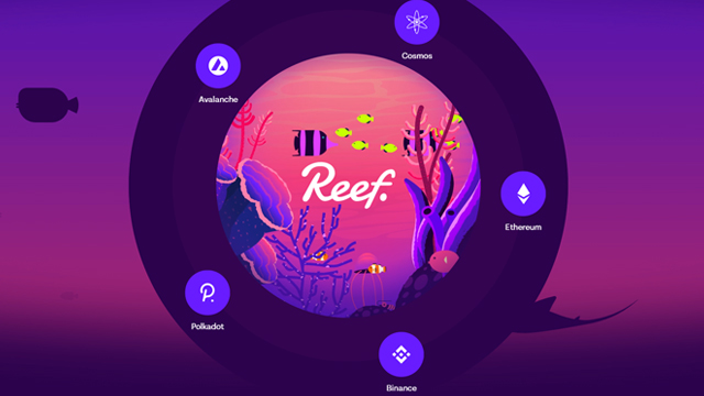 Reef crypto token price, where to buy, and symbol - GameRevolution