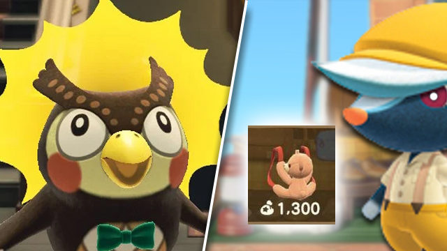 Animal Crossing: New Horizons Bear Backpack: Where to find in ACNH ...