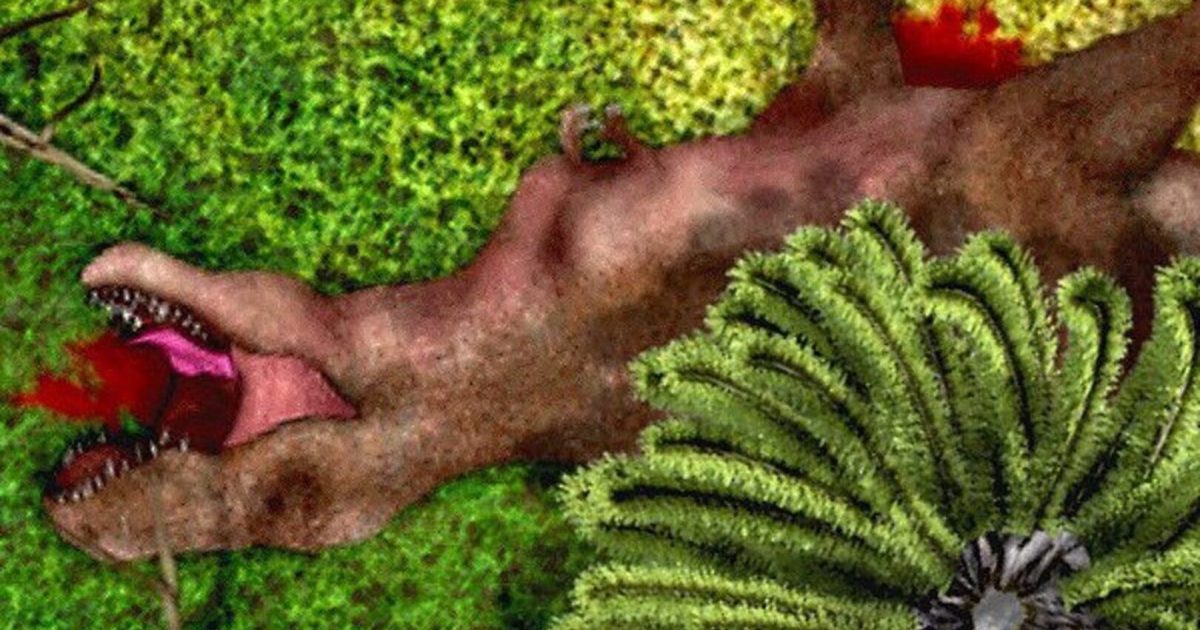 DinoSystem News, Guides, Walkthrough, Screenshots, and Reviews - GameRevolution