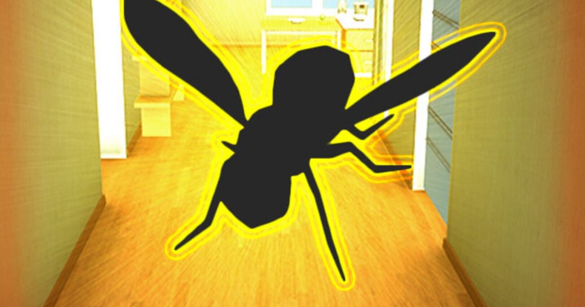 Fly in the House News, Guides, Walkthrough, Screenshots, and Reviews ...