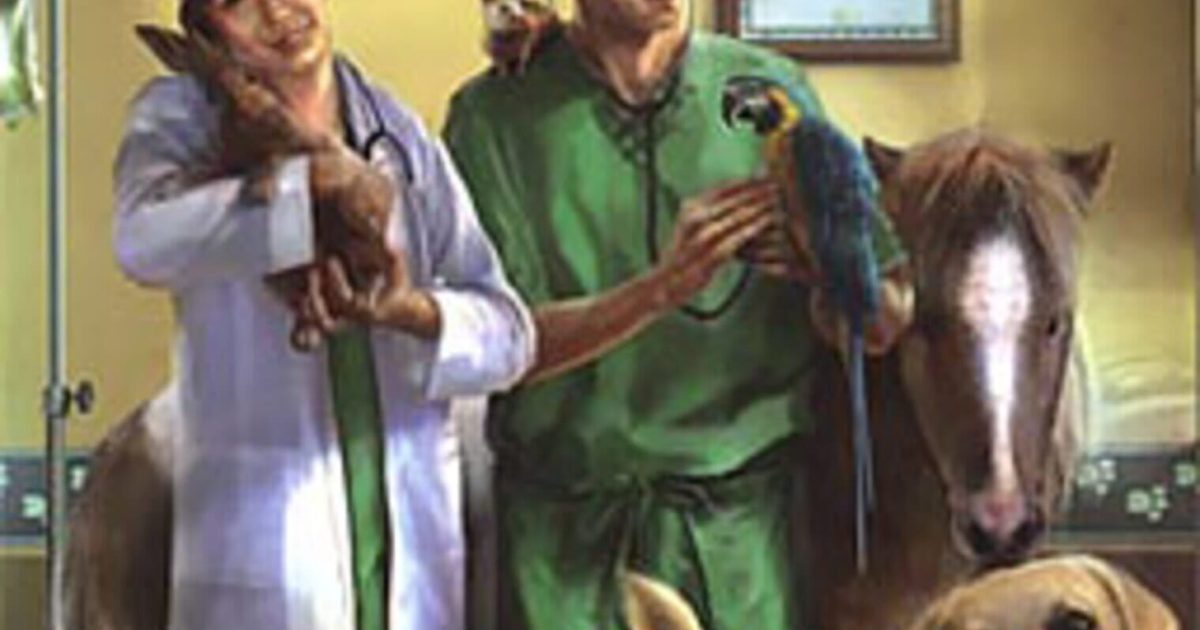 Pet Pals: Animal Doctor News, Guides, Walkthrough, Screenshots, and ...