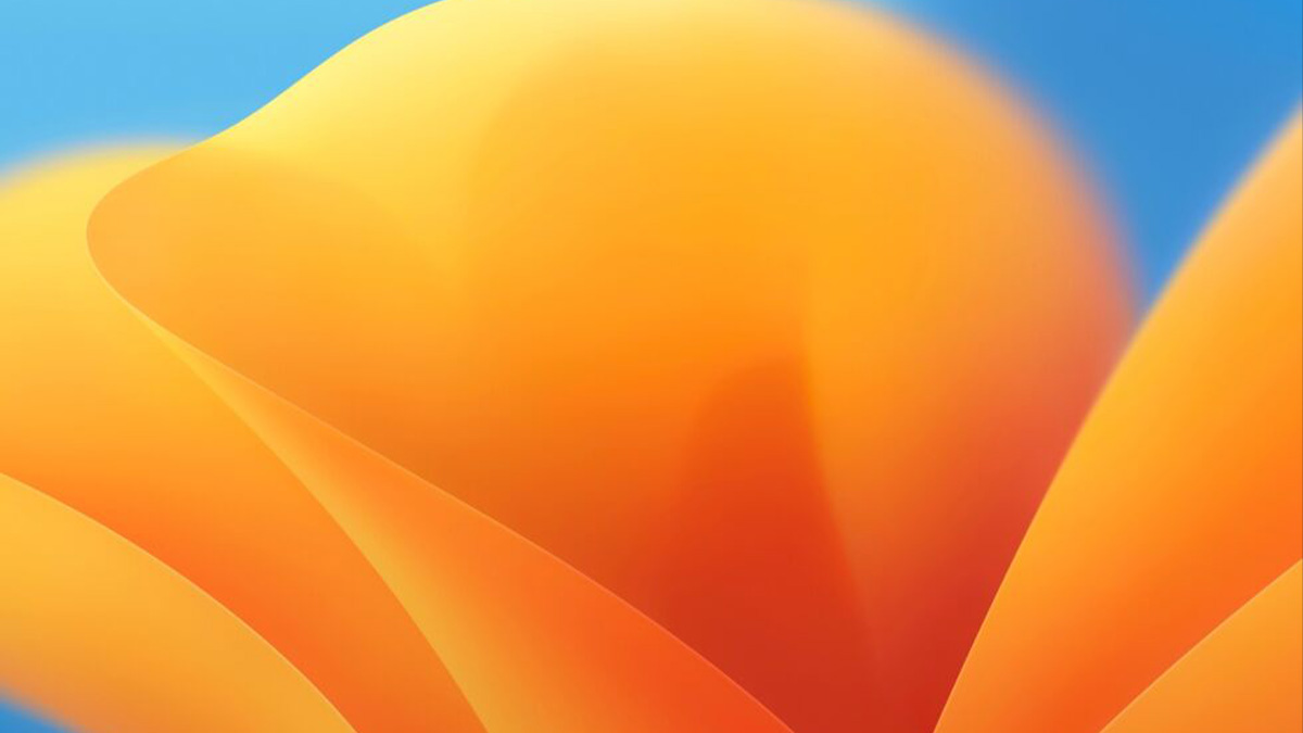 Turn Off Autocorrect In Macos Ventura Gamerevolution