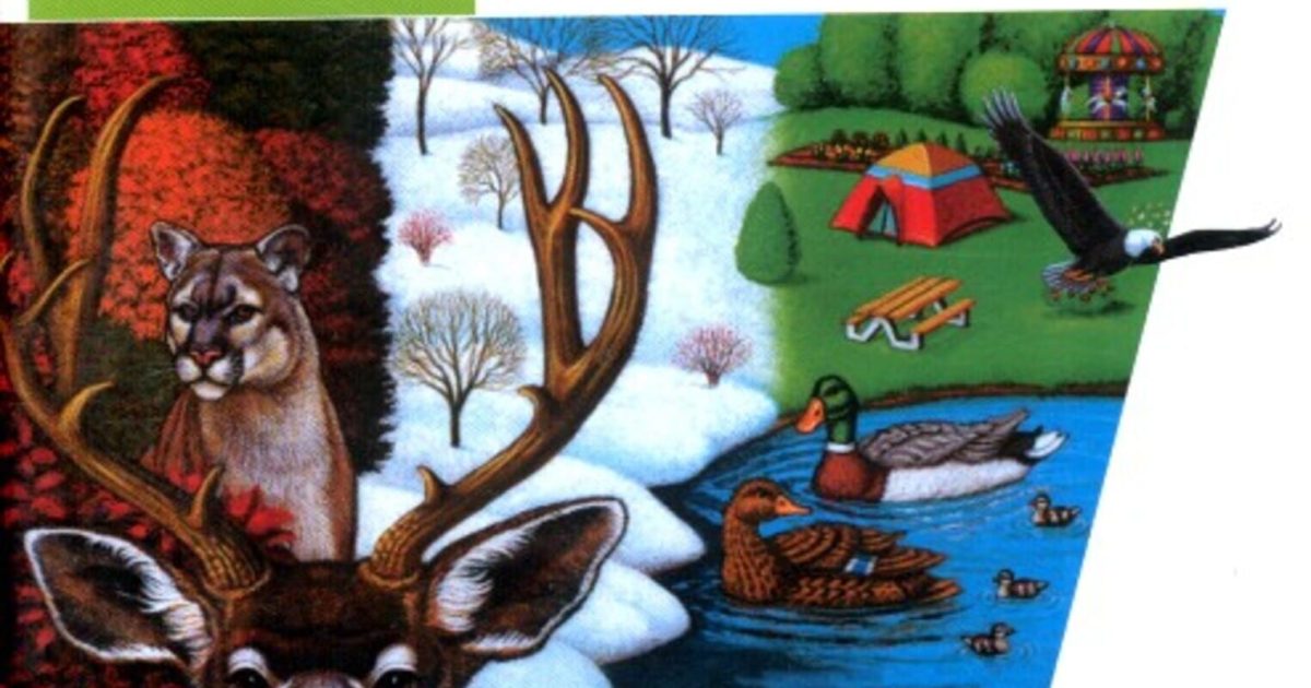 Sim Park News, Guides, Walkthrough, Screenshots, and Reviews ...