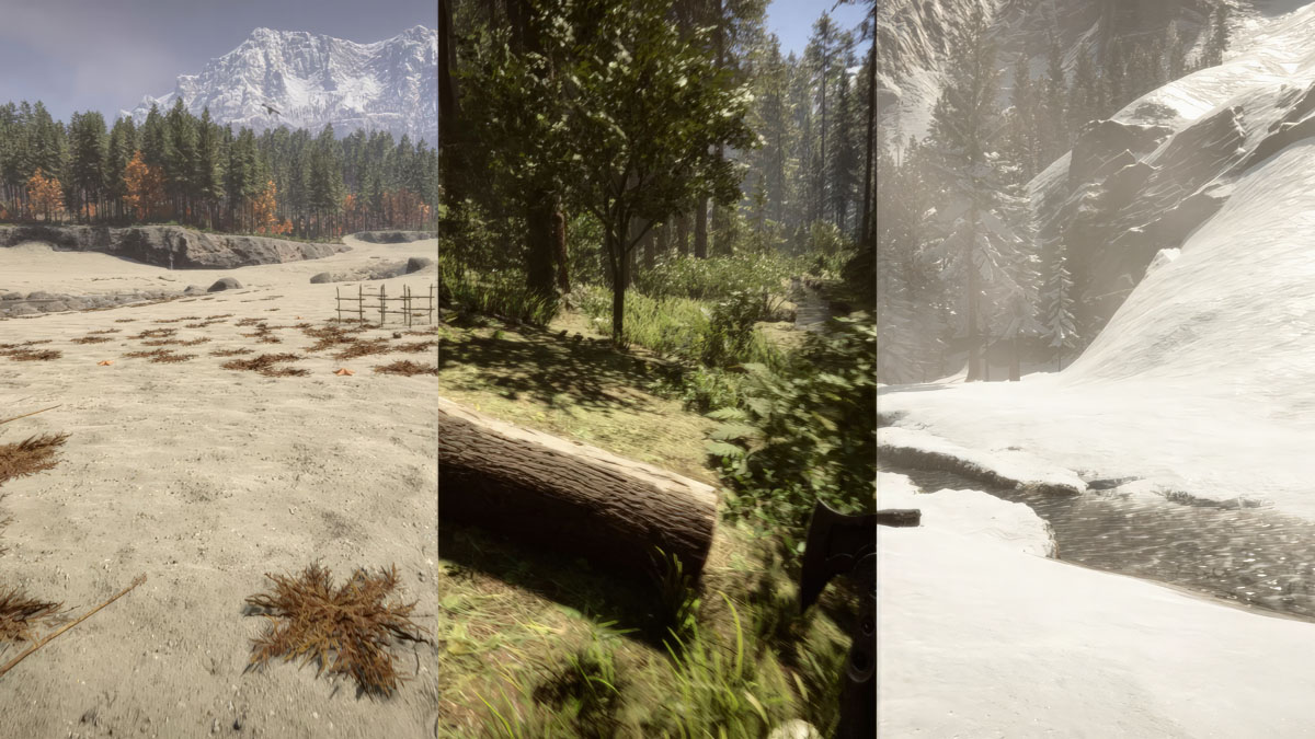 Sons of the Forest Starting Locations: Can You Spawn in Different ...